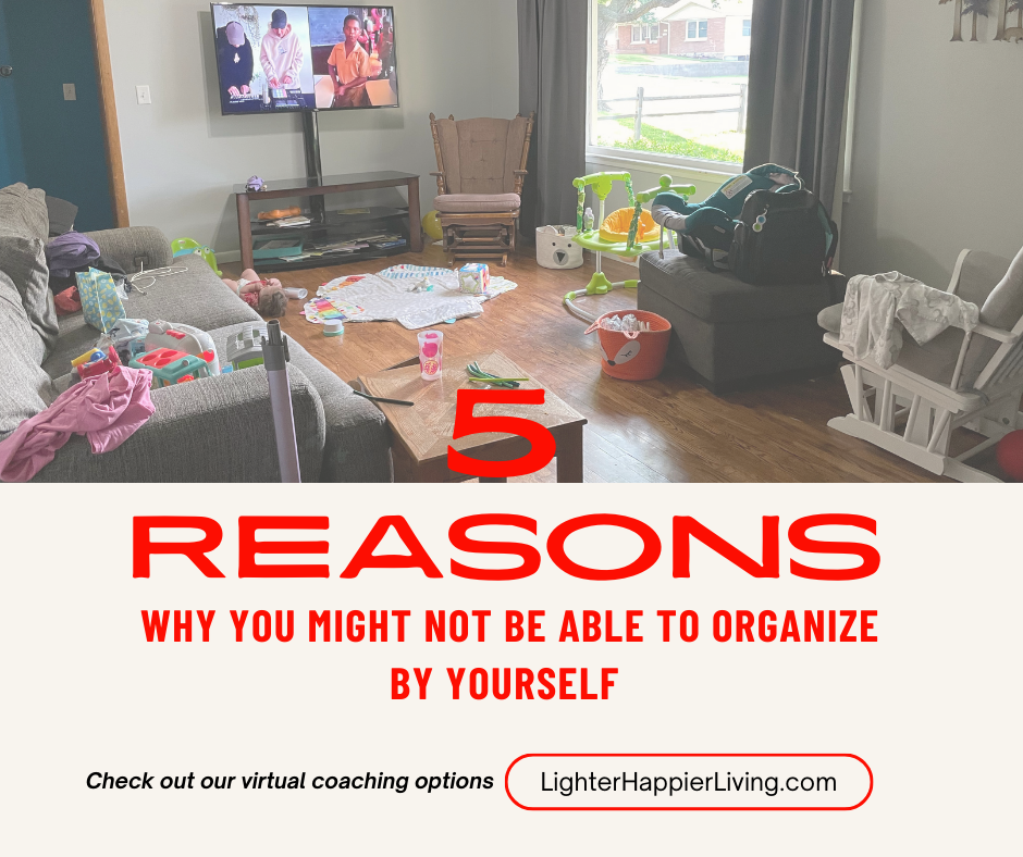 5 Reasons Why You Might Not Be Able to Organize By Yourself: Why Can’t ...